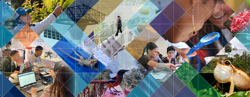 NSF Arecibo C3 opening moved to 2025, aligning with NSF's 75th anniversary commemorations